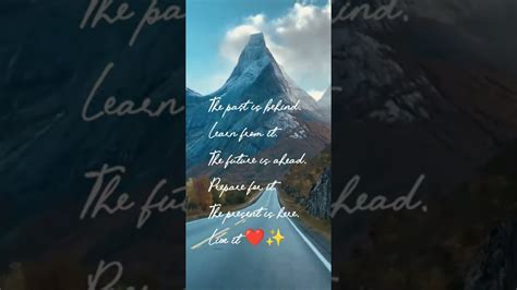 Live It ️ Maine Royaan Song Whatsapp Status Shorts Maineroyaan Youtube