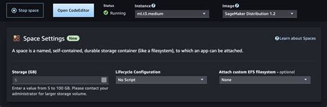 Saia E Encerre Os Recursos Amazon Sagemaker
