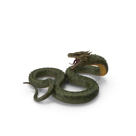 Dragon Anime Sex Png Images And Psds For Download Pixelsquid