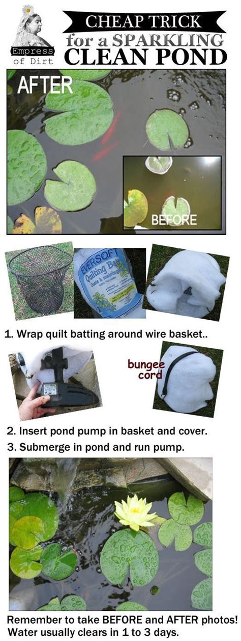 Cheap Trick For A Sparkling Clean Pond And Eco Friendly Too