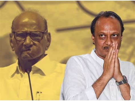 Sharad Pawar अजित पवार नाराज पुढचा पक्षाध्यक्ष कोण शरद पवार स्पष्टच