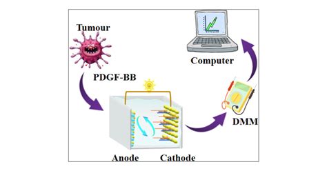 Self Powered Biosensing System With Multivariate Signal Amplification