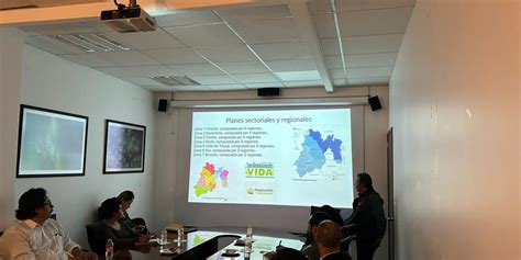 ¿buscas Actividades Sustentables En Verano Para Tus Pequeños Esto Te