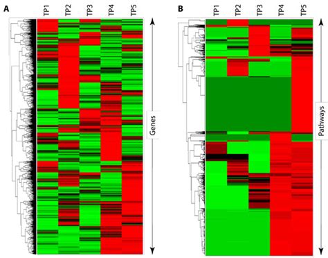 hierarchical clustering of expression data at gene level and pathway