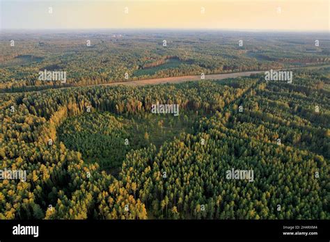 Drone View Monitoring On Felling Forest Quadcopter Tracking Illegal