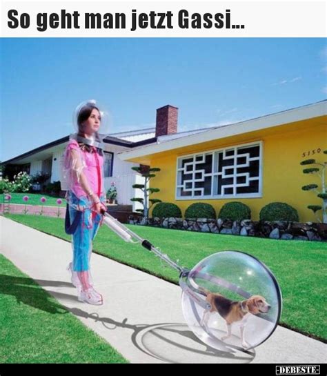 So Geht Man Jetzt Gassi Debestede