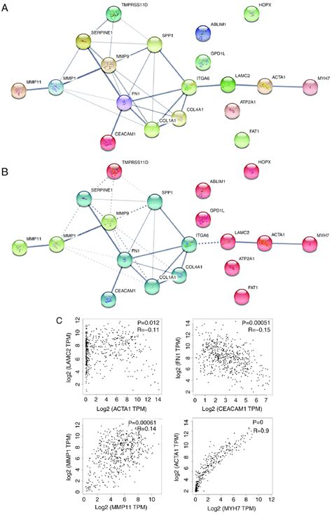 Ppi Networks Of Hub Genes A Ppi Network And B K Means Clustering
