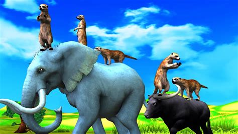 ताकतवर गजा राज और नेवला Kahani Panchatantra Ki Kahaniya 3d Animated