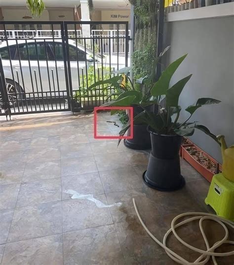 Casper Lin Vlog Casper Lin Vlog Added A New Photo