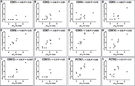 Chemoproteomics Target Deconvolution Ic 50 Values Were Generated By