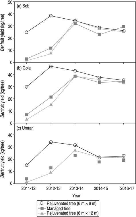 Fruit Yield Of Ber Varieties Kg Tree Over The Years After