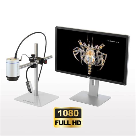 F30s Modular Digital Microscope With Full Hd 60fps Performance Vet Tech