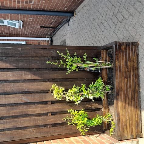 Bespoke Handmade Tetbury Trellis Fence Panel Privacy Screen Tanalised