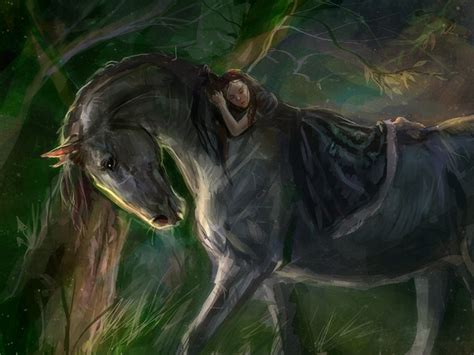 magia zwierząt magiczne konie