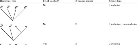 Relationships Between The Criterion Of Reciprocal Monophyly And