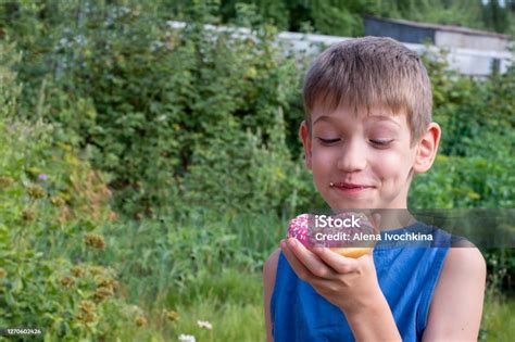 소년은 맛있는 도넛에 놀랐습니다 한 어린이가 공원에서 달콤한 간식을 들고 있습니다 건강에 해로운 식품 개념 6 7 살에 대한 스톡 사진 및 기타 이미지 Istock