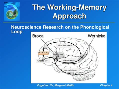 Working Memory