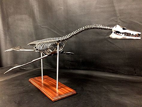 Handmade Welded Plesiosaurus Skeleton Lock Ness Monster Etsy