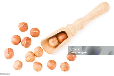 흰색 배경에 고립 된 헤이즐넛 맨 위 보기 0명에 대한 스톡 사진 및 기타 이미지 0명 갈색 개체 그룹 Istock