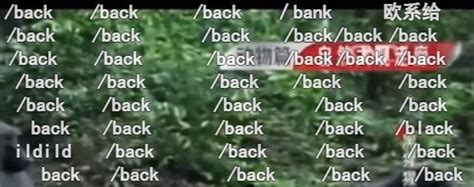 Back是什么梗 伪装成互动指令的弹幕梗 弹幕秀