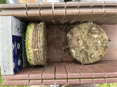Turf Testing Techniques