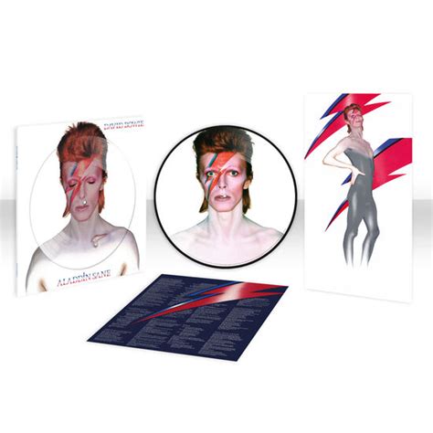 Aladdin Sane 50th Anniversary 1lp Picture Disc Rhino Official Store