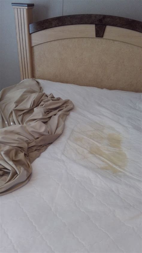 My Wet Bed Omorashi Experiences Omorashi