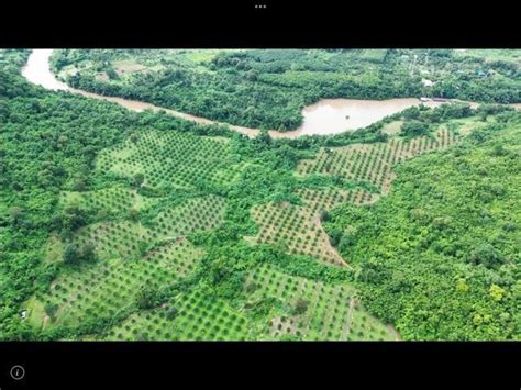 ขายที่ดินเอกสารสิทธ์นส 3ก 459ไร่พร้อมสวนทุเรียนอายุ 4ปี5พันกว่าต้น