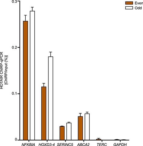 Chromatin Isolation By Rna Purification Chirp Video Jove