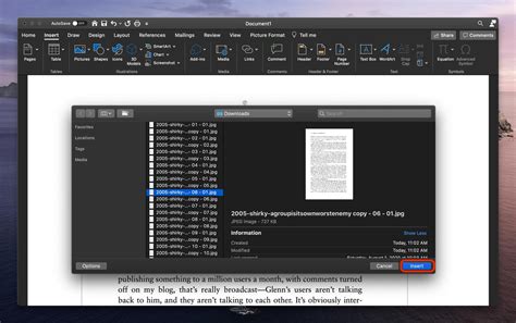 How To Insert PDF Into Word Documents The Right Way