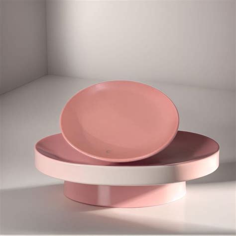 Ceramic Serving Plates Manufacturer Exporter From Bulandshahr