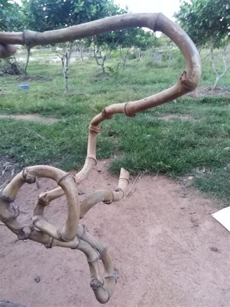 🌈🌈🌈ខ្លឹមកាន់កាប់ និង វល្លិ៍អំពឹលនៅលើកំពូលភ្នំត្បែង🐉🌳💎 By លោកគ្រូអថ័ន ខ្យាដំរី