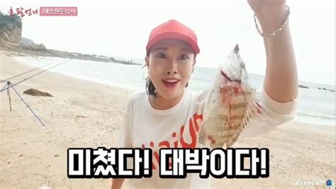 해변 감성돔 원투낚시역시 파도가 있어야 감성돔이 있다 Youtube