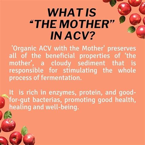 Buy Organic Apple Cider Vinegar Mother Online 500 G