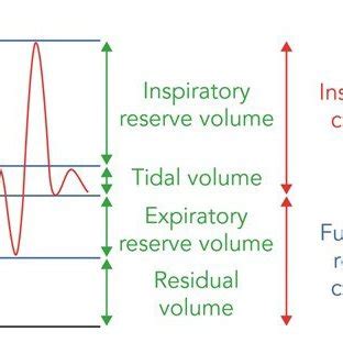 PDF ARTP Statement On Pulmonary Function Testing