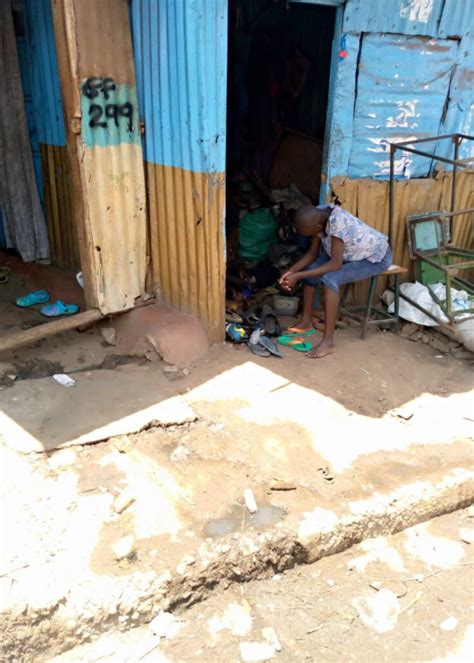 Fundraise Pink Roses