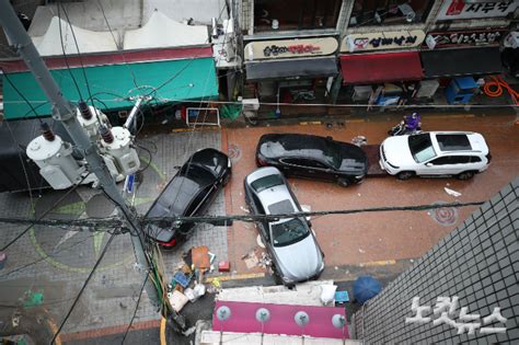집중 폭우 특별재난지역 지적측량 수수료 2년간 감면 노컷뉴스
