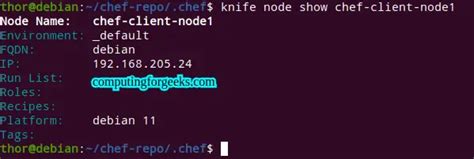 How To Install Chef Infra Server On Debian 11debian 10 Computingforgeeks