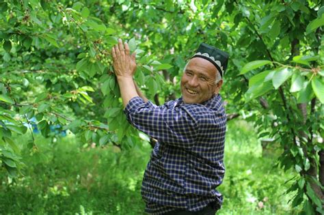 Government Of Japan Provides 1 Million Usd For Undp To Promote The