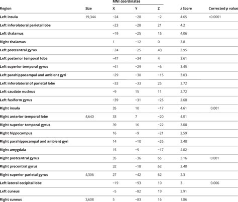 Clusters Of Voxel Wise Correlation Between Higher 11 C Pbr28 V T And