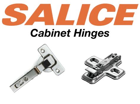 Salice Kitchen Cabinet Hinges Image To U