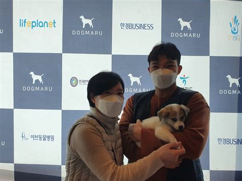 창원 2021 0176 믹스견 다서이 책임분양 미니비숑프리제성격 토이푸들성격 골든리트리버성격 래브라도리트리버성격 닥스훈트성격 도베르만성격 말티치성격 말티폼성격 보더콜리