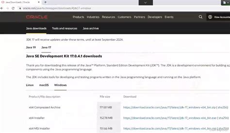 Springboot Vue Nginx Ms Sql Server项目部署方法vuesqlserver Csdn博客