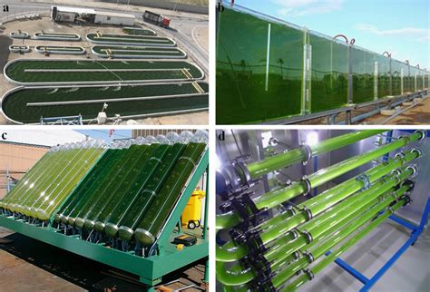 Photobioreactors Pbrs Used In Growing Microalgae A Raceway Pond Download Scientific