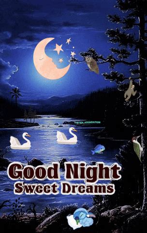 Good Night Love  By The Sol Foundation Find And Share On Giphy