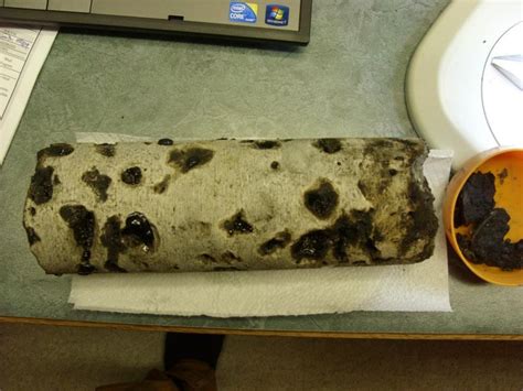 Vuggy Carbonate Grosmont Formation Carbonate Oil And Gas Core