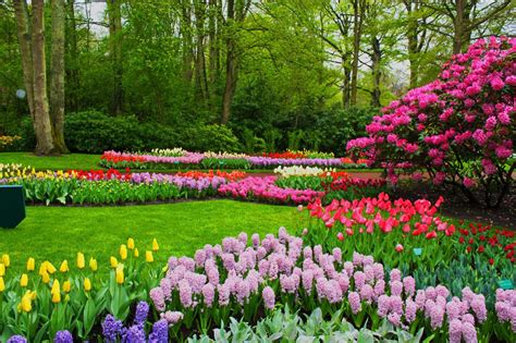 Home Heavens Path Tours And Travels