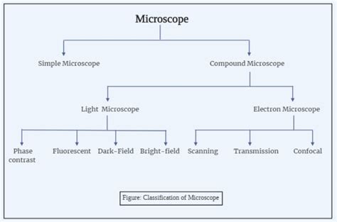 Types Of Microscopes With Their Microbiology Note
