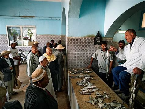Visite Du Marché Aux Poissons De Houmt Souk