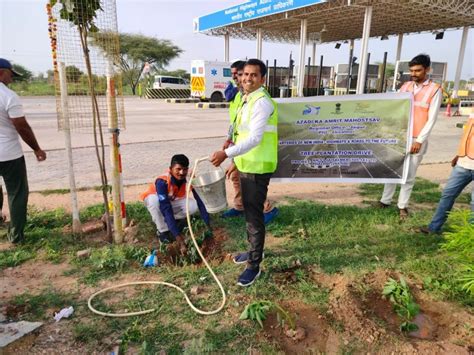 pradeep singh bhadauriya on linkedin tree ramdevra